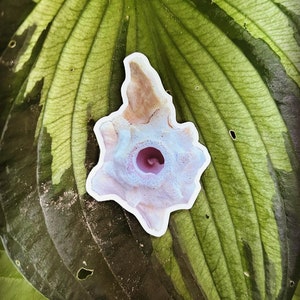 Guamo & Tree Frog in Conch Shell Stickers - Etsy