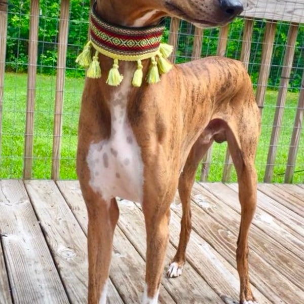 Sighthound Collar - Etsy