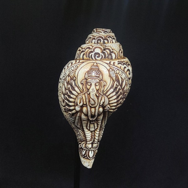 Conch Shells Art - Etsy