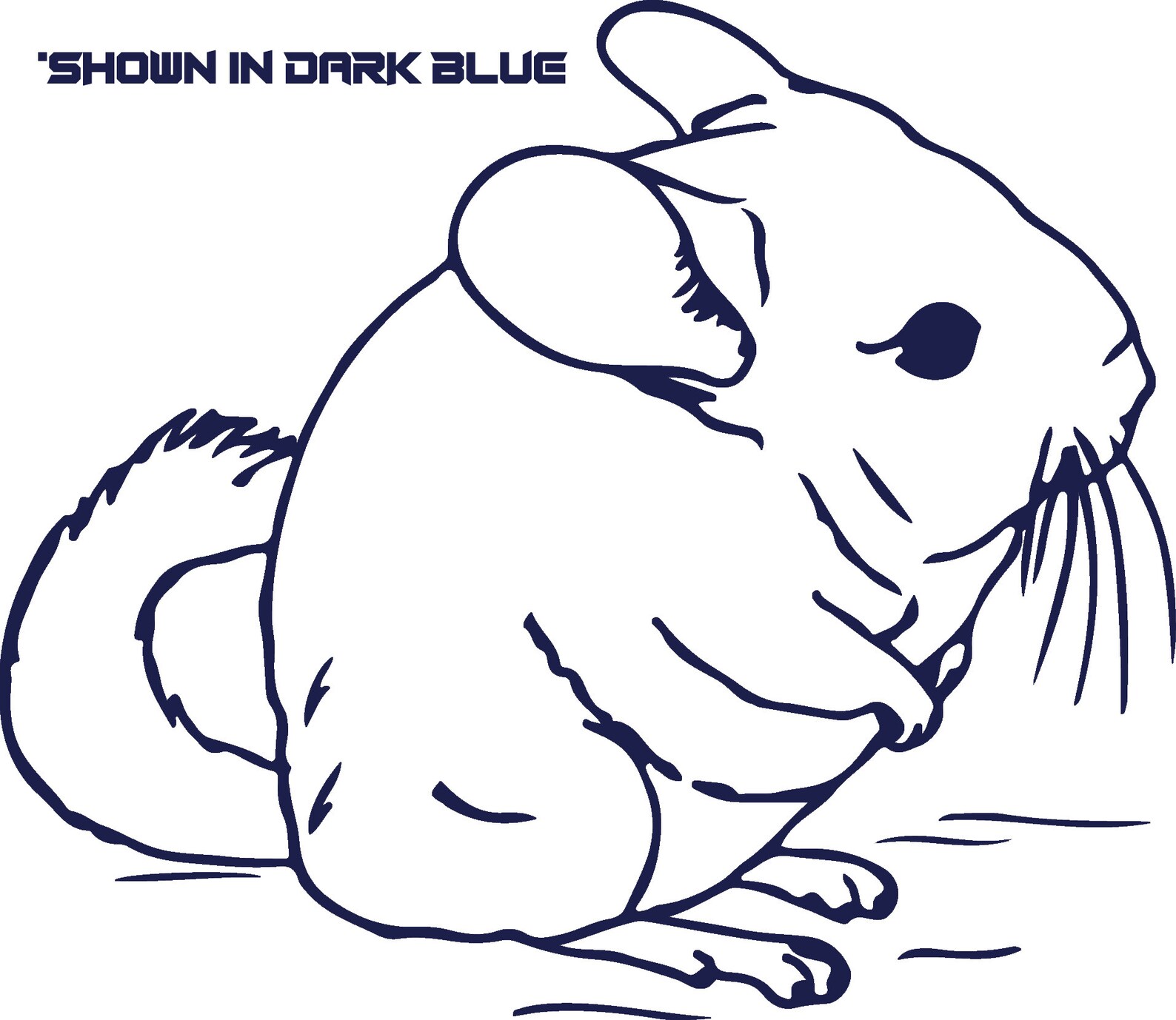 Crouched Chinchilla Outline Crouched Chinchilla Outline | Etsy