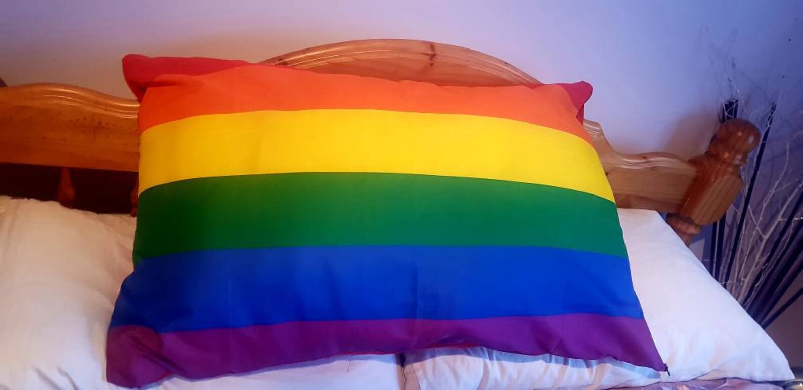Large Gay Pride Flag Pillow Cover - Etsy