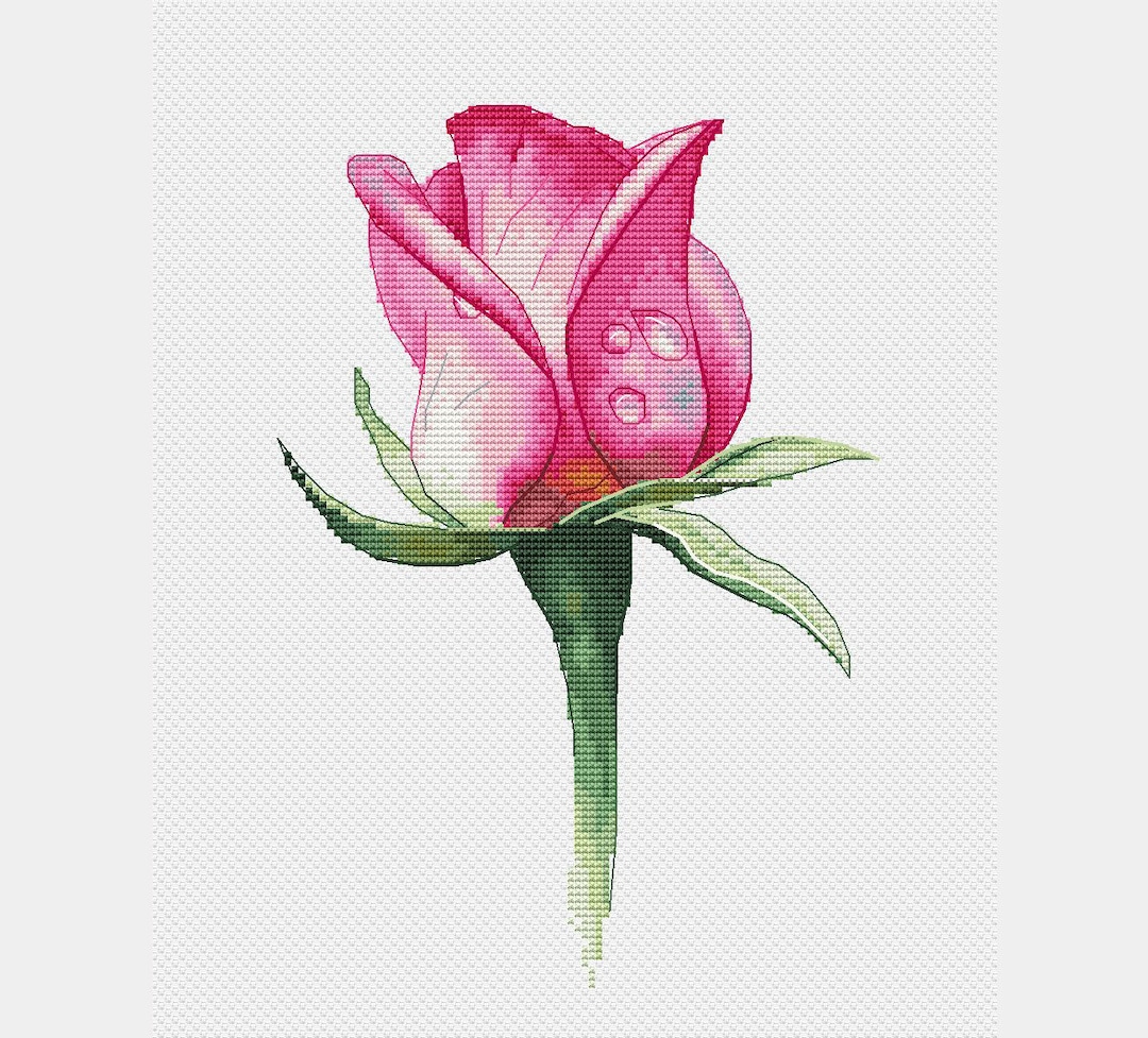 Pink Rose Cross Stitch Pattern Single Rose Cross Stitch Beautiful Rose ...