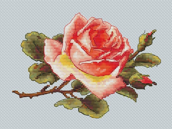 Salmon Color Rose Cross Stitch Pattern - Etsy