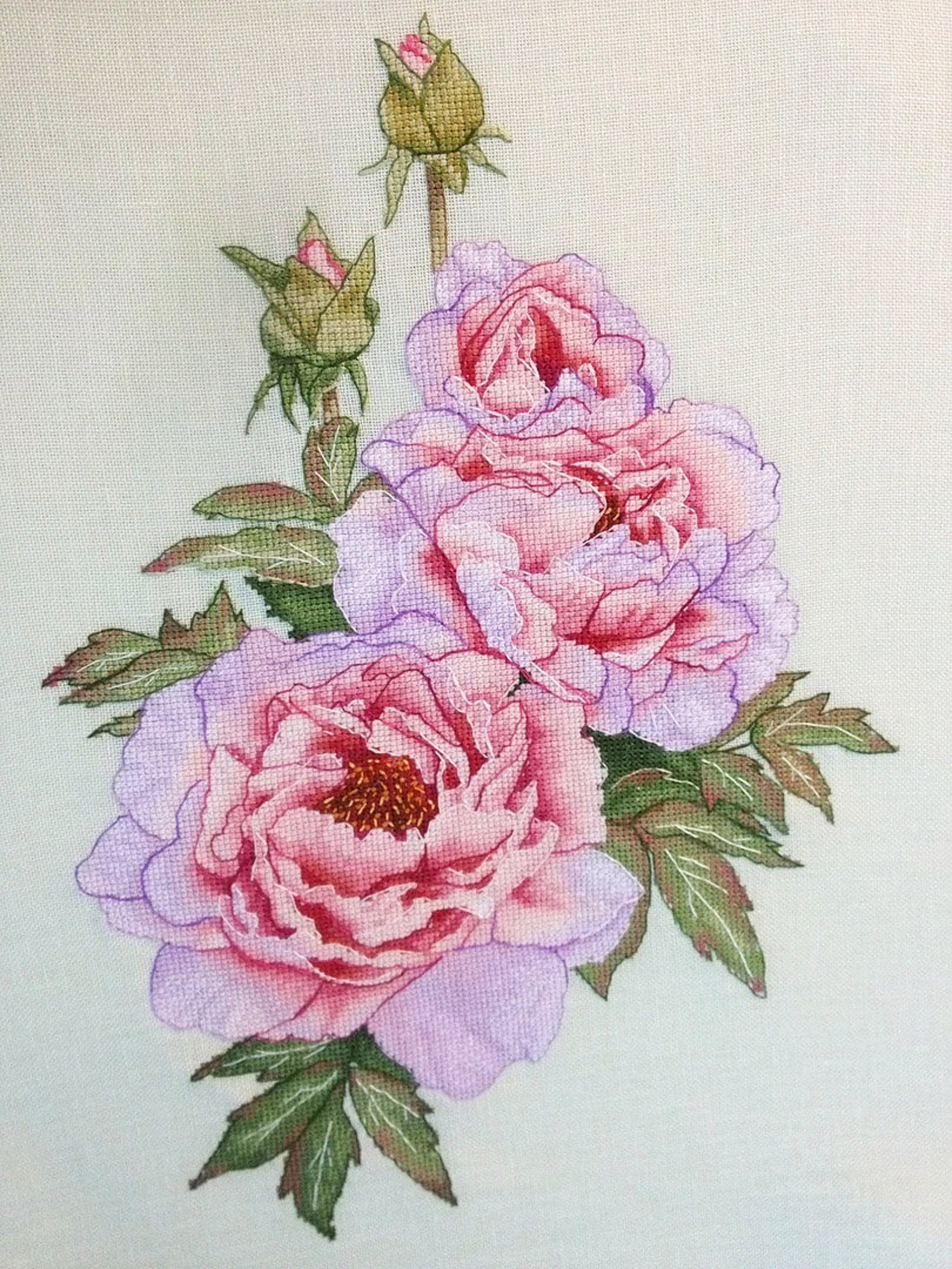 Pink Roses Cross Stitch Pattern Beautiful Flowers Cross Stitch - Etsy