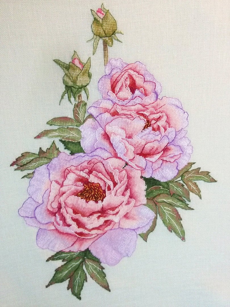 Pink Roses Cross Stitch Pattern Beautiful Flowers Cross Stitch - Etsy