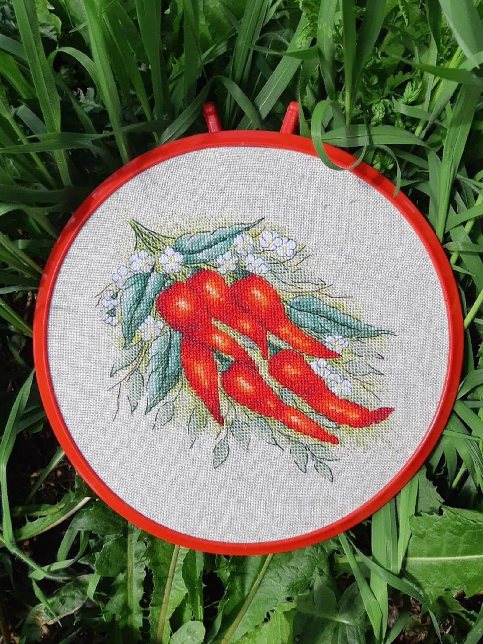 Red Pepper Cross Stitch Pattern Kitchen Decoration Cross Stitch Pepper ...