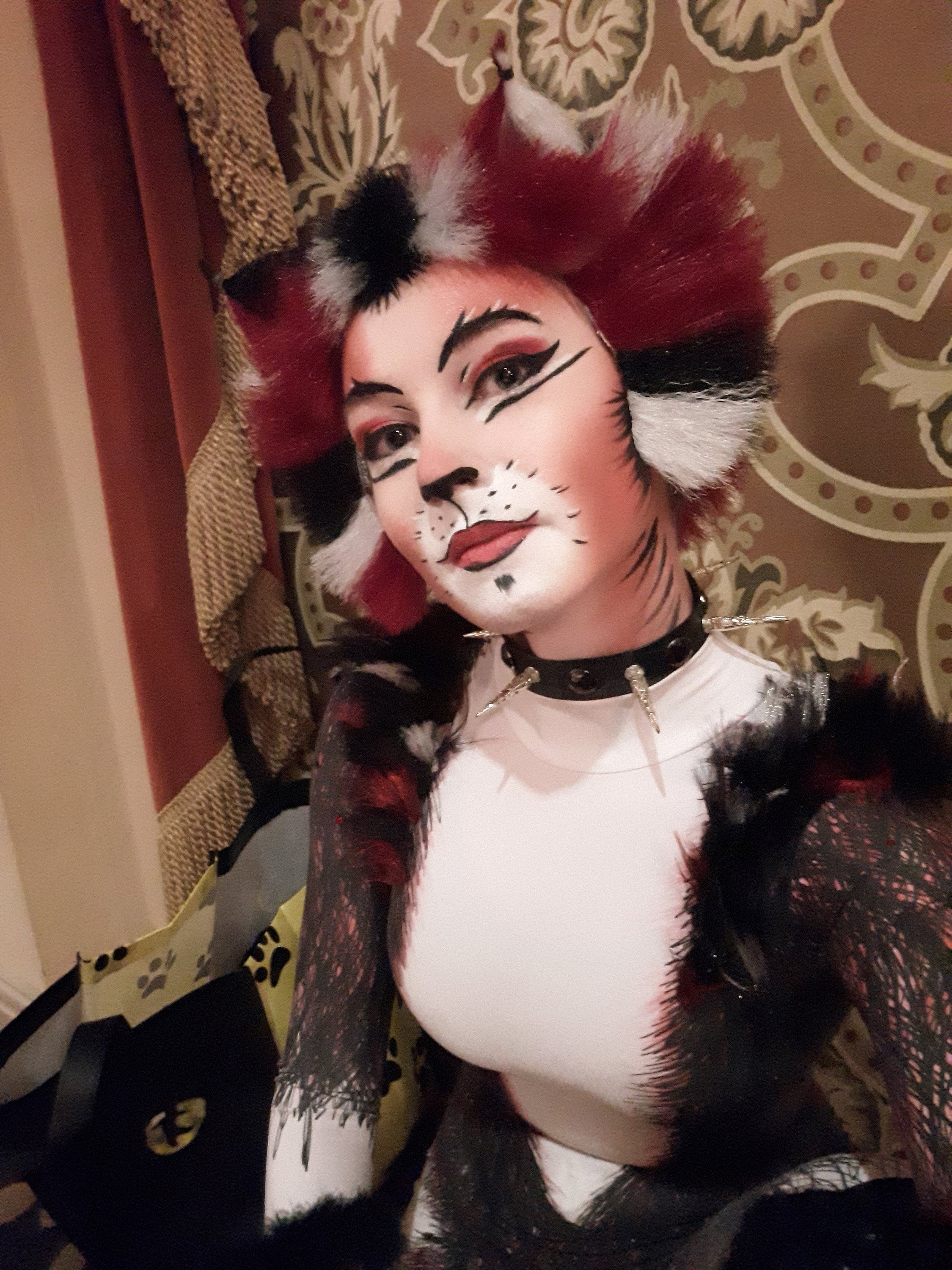 Cats The Musical Makeup And Costume