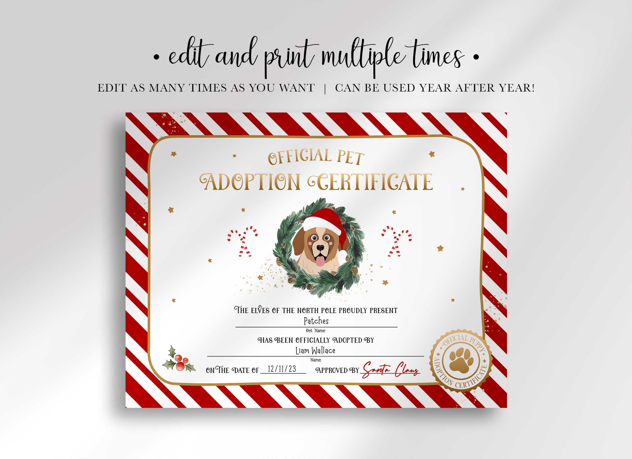 Personalized Christmas Puppy Adoption Certificate | Festive Pet Welcome ...