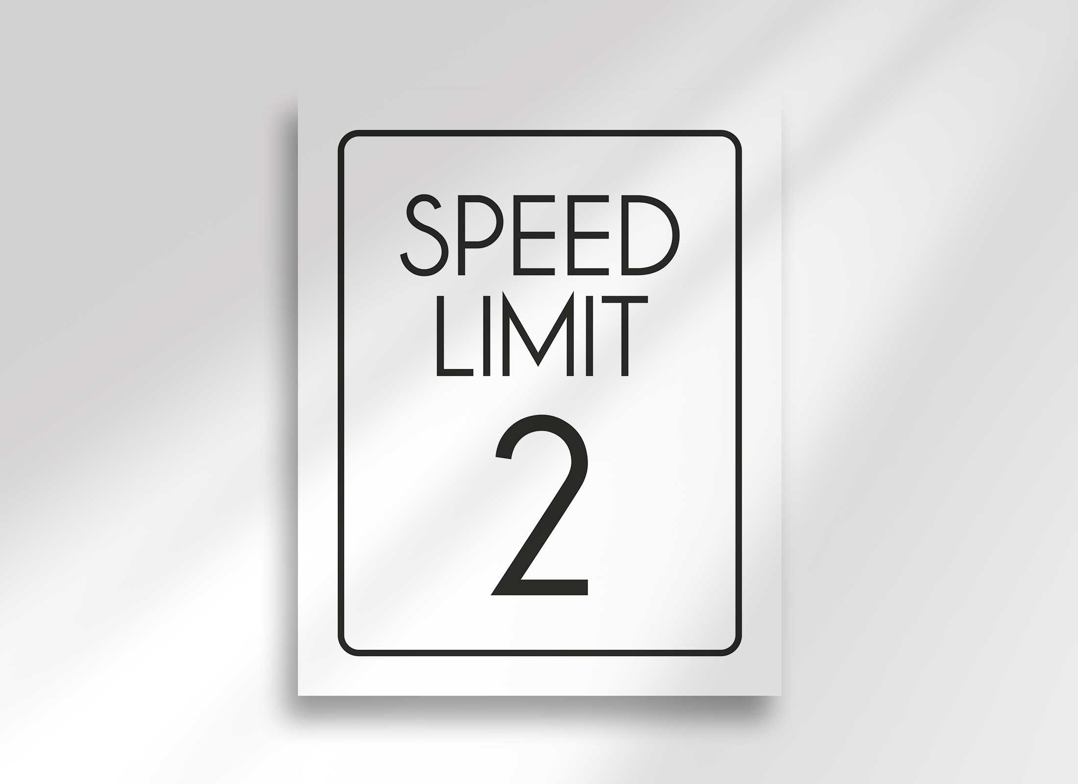 Editable Race Car Birthday Sign: Speed Limit Party Decor (digital ...