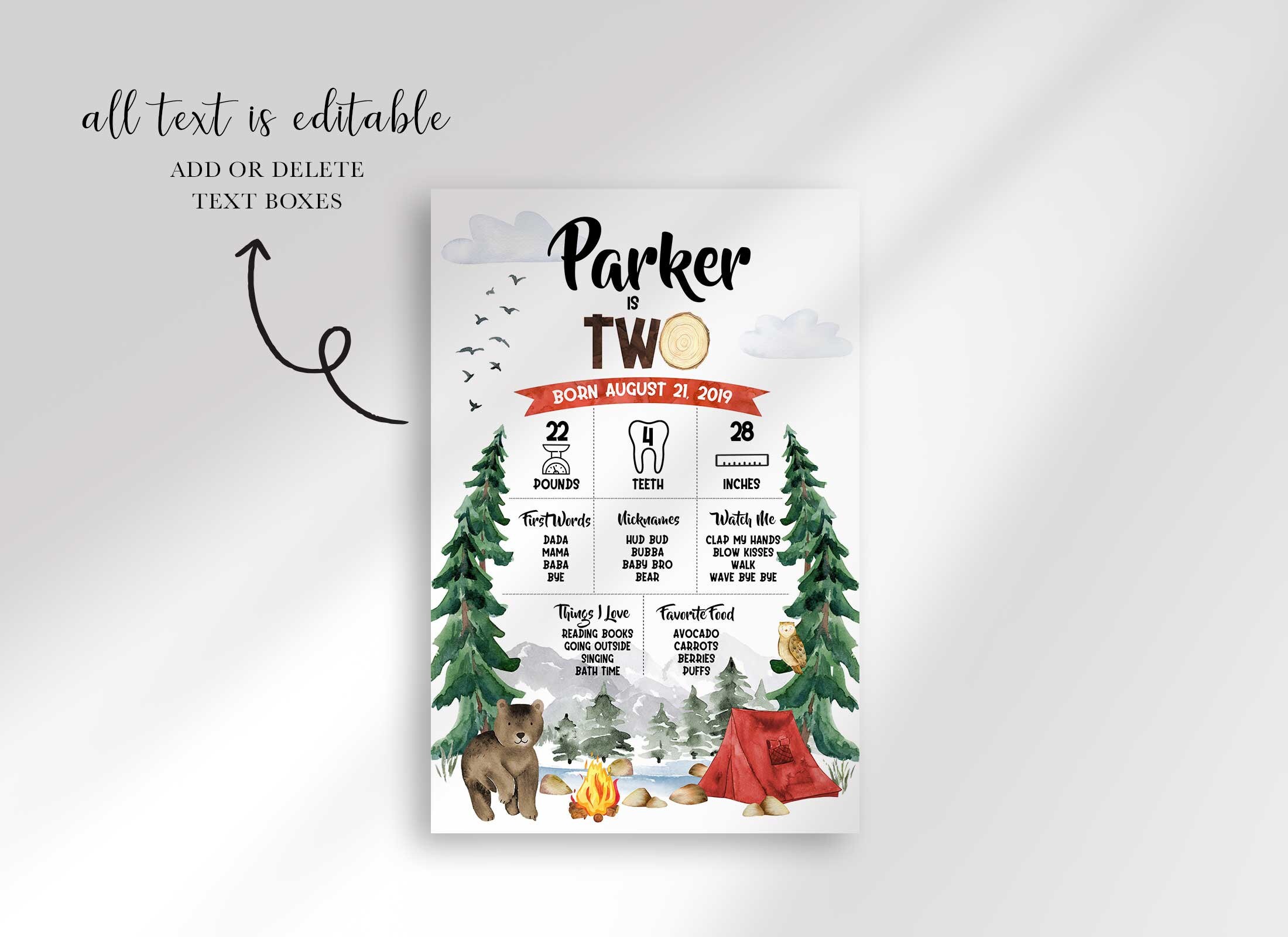 Editable Camping Birthday Board Milestone Chart - Etsy