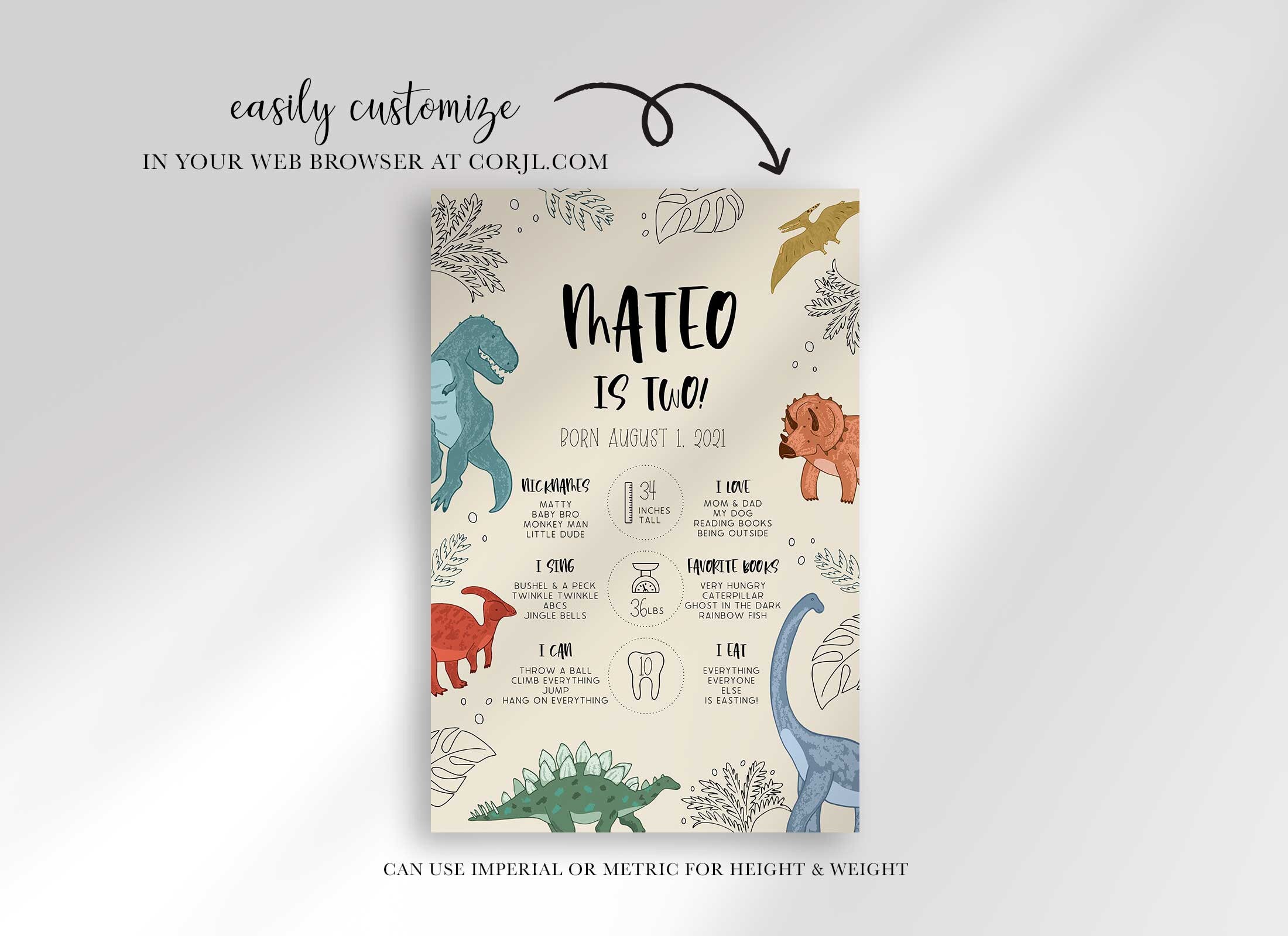 Editable Dinosaur Birthday Board Template Instant Download - Etsy