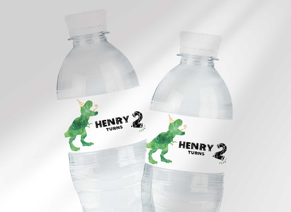 Editable Dinosaur Birthday Water Bottle Labels | Editable Instant ...