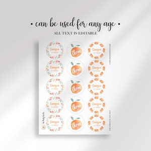 Editable Peach Party Cupcake Toppers for Peach Theme Birthday or Shower ...