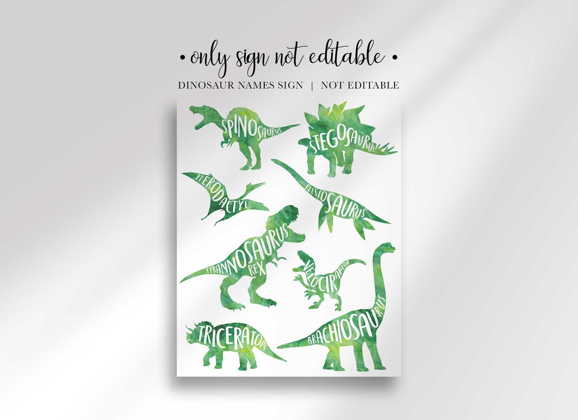 Editable Dinosaur Party Sign Package: Adopt a Dinosaur (digital ...