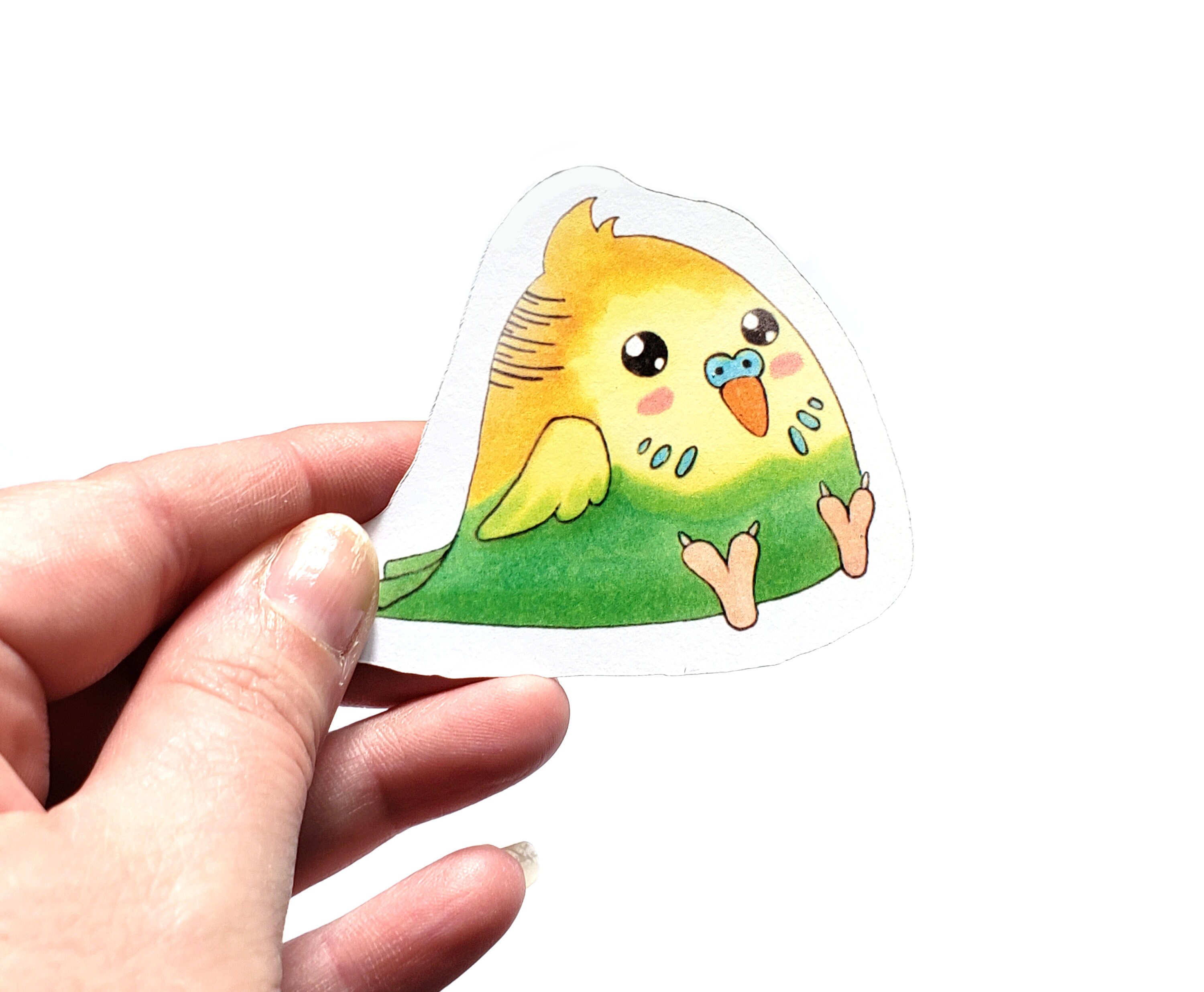 Parakeet Art Stickers, Budgie Stickers, Bird Stickers, Kawaii Stickers ...