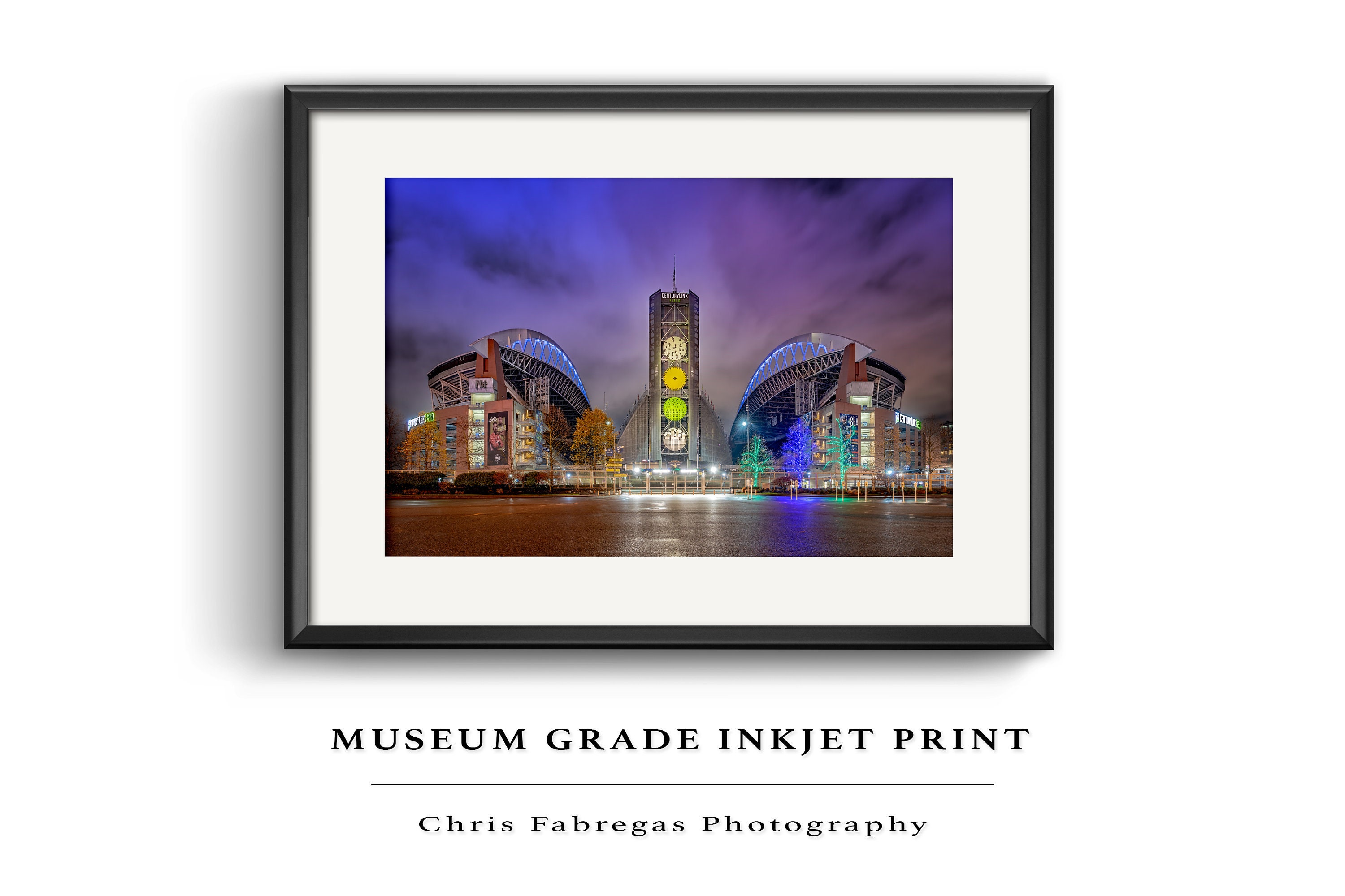 Centurylink Field Panoramic