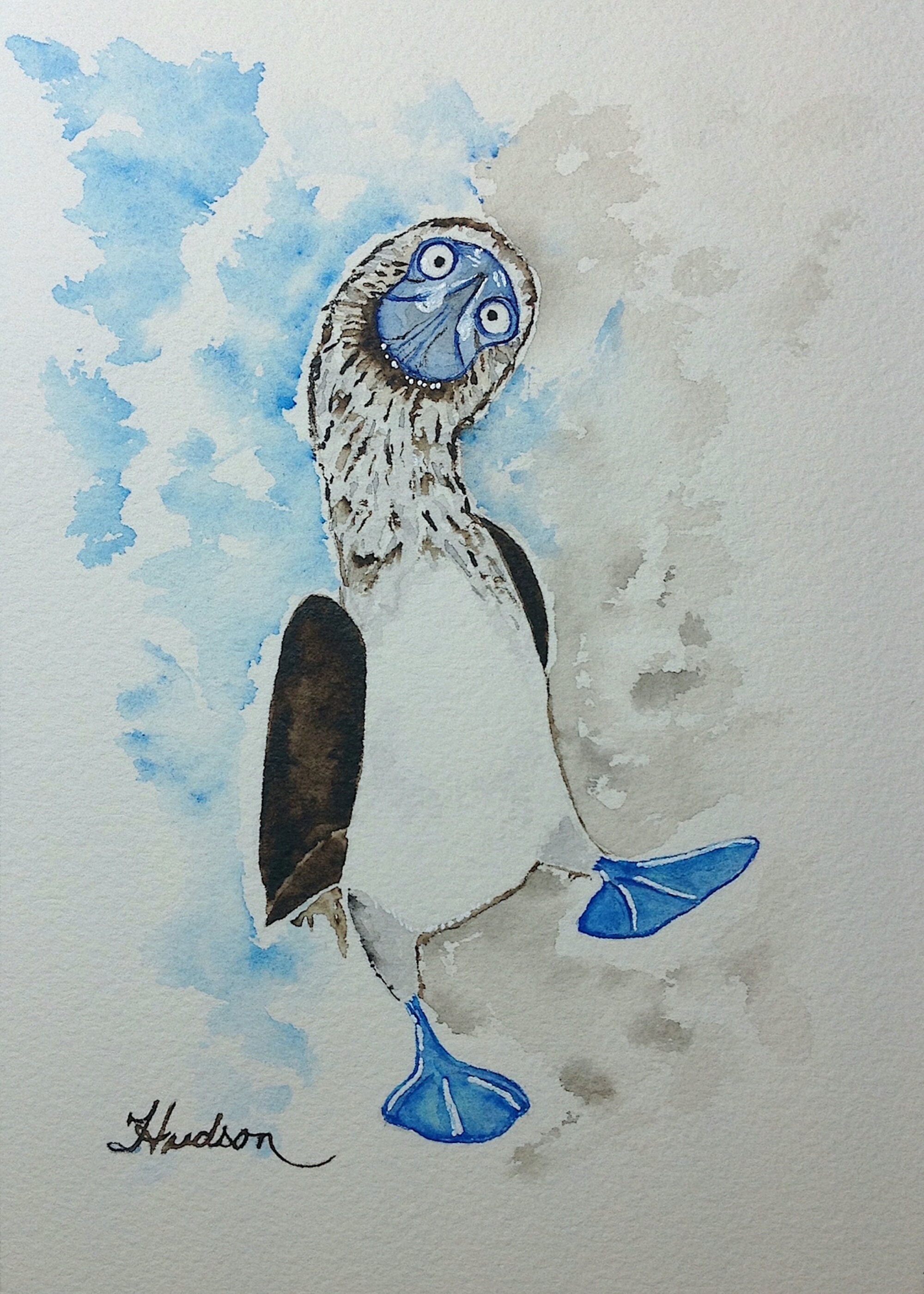 Instant Download Blue Footed Booby Print, Printable Art, Self Printable ...