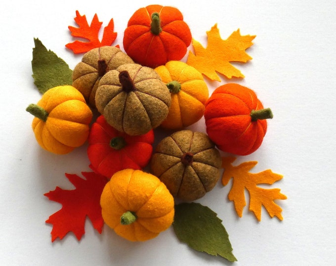 Pumpkin Set Autumnal Fall Autumn Thanks Giving Pumpkin - Etsy