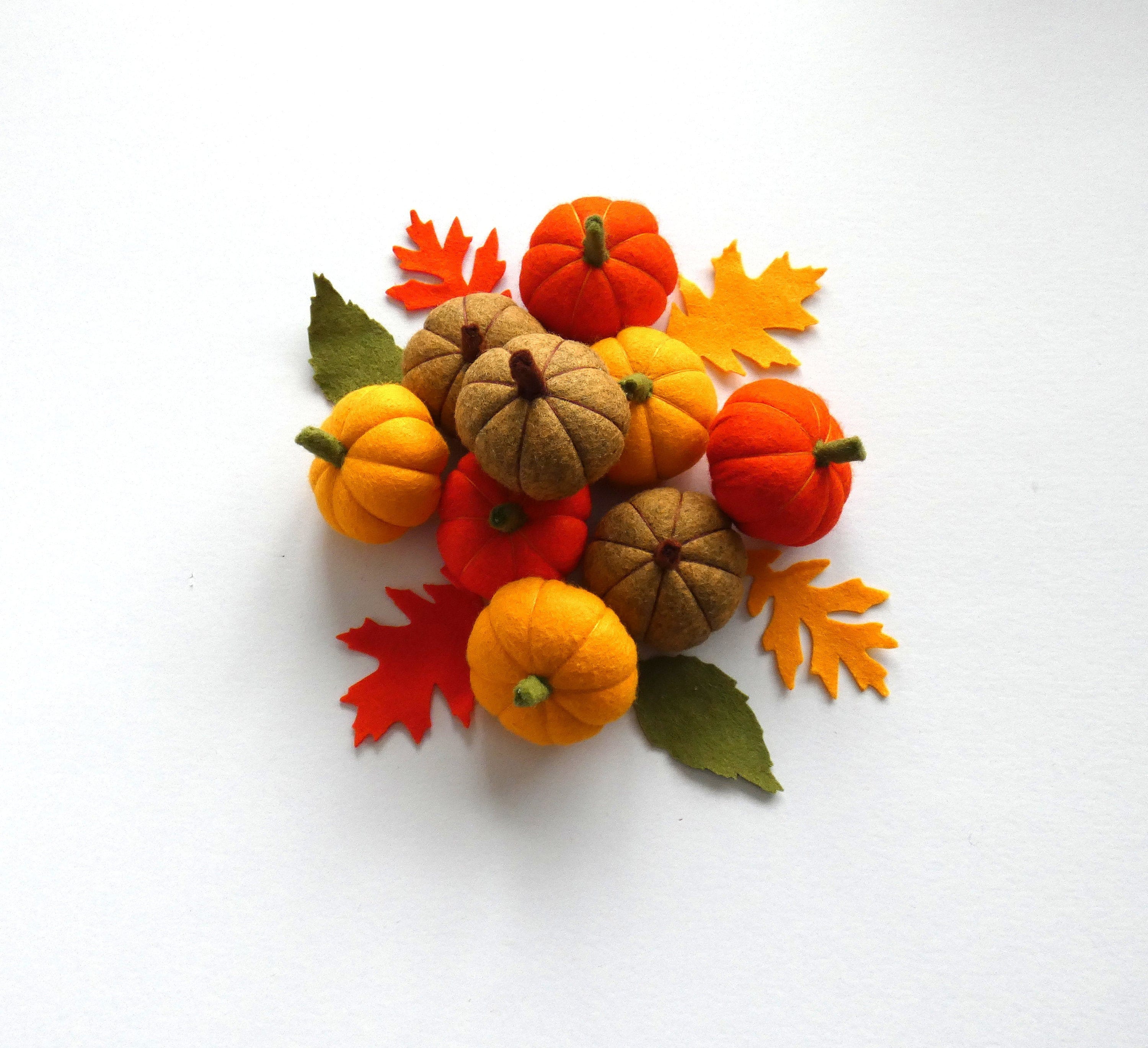 Pumpkin Set Autumnal Fall Autumn Thanks Giving Pumpkin - Etsy