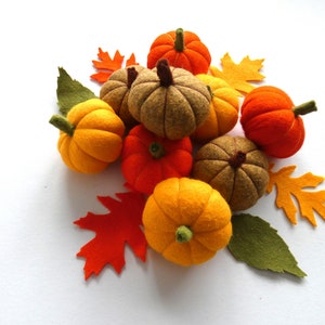 Pumpkin Set, Autumnal, Fall, Autumn, Thanks Giving, Pumpkin Decoration ...