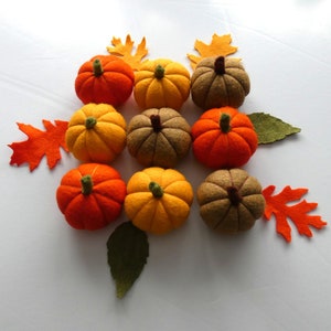Pumpkin Set, Autumnal, Fall, Autumn, Thanks Giving, Pumpkin Decoration ...
