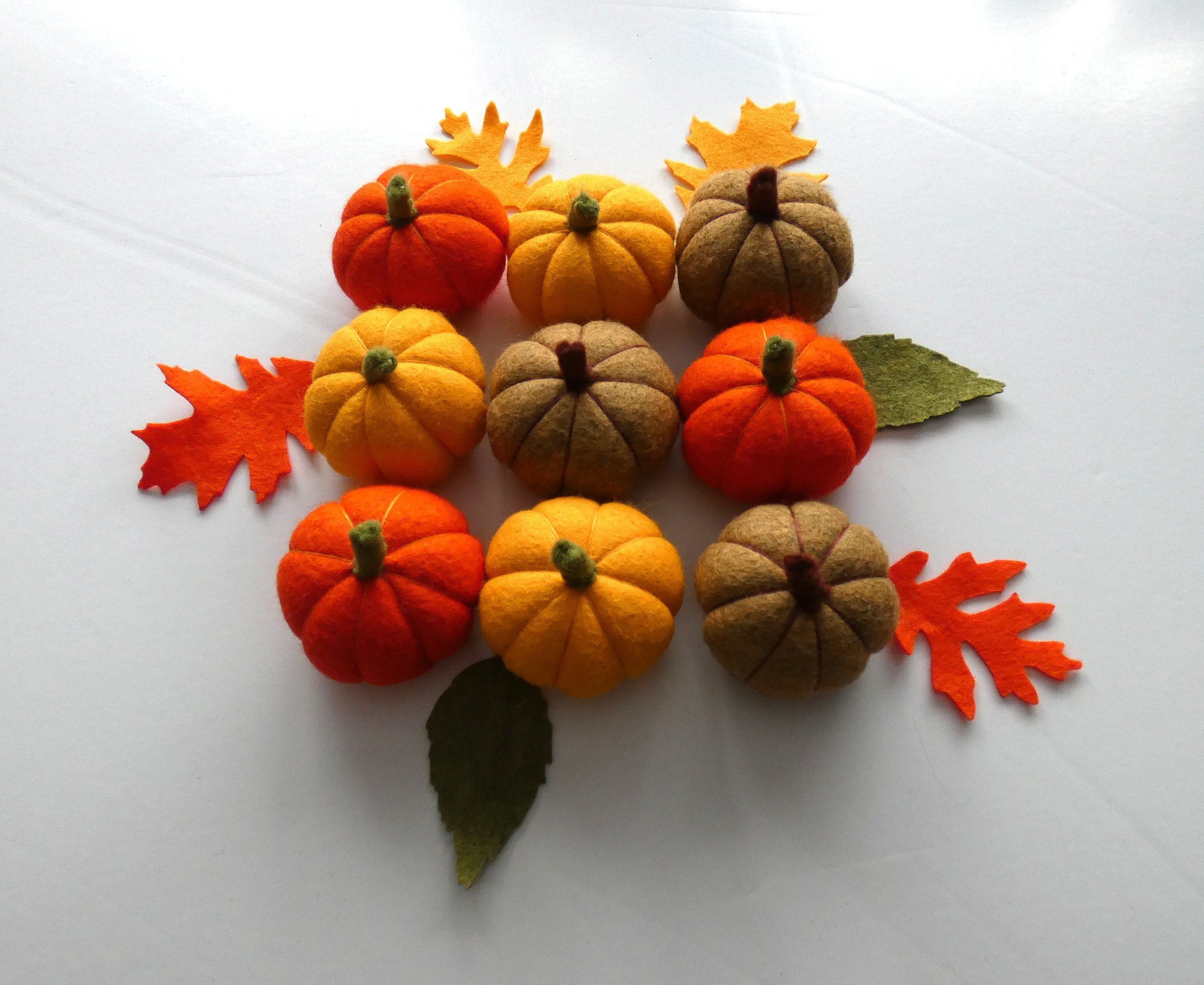 Pumpkin Set Autumnal Fall Autumn Thanks Giving Pumpkin - Etsy
