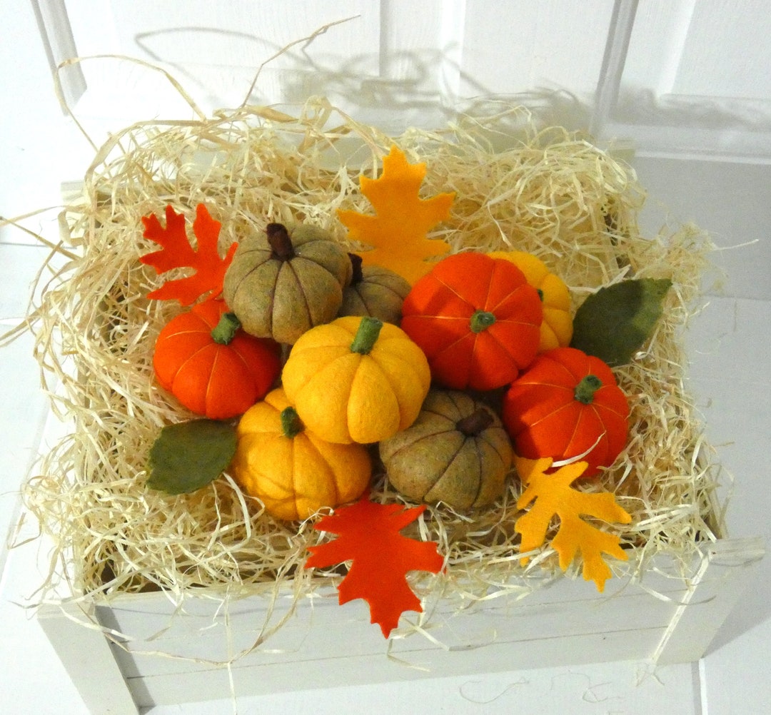 Pumpkin Set, Autumnal, Fall, Autumn, Thanks Giving, Pumpkin Decoration ...