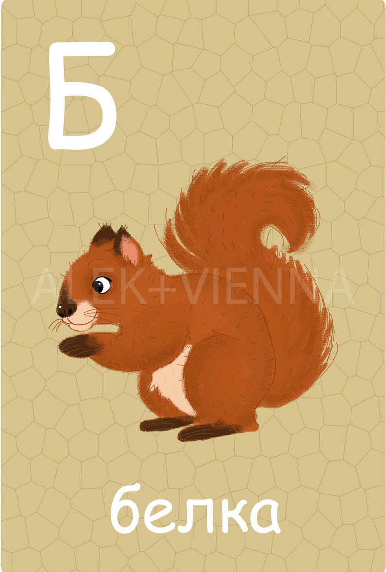 Russian Alphabet Animal Flash Cards Russian Alphabet Russian | Etsy