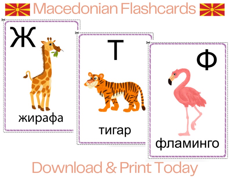 Macedonian Alphabet Flash Cards - PDF - Printable - Digital Download ...