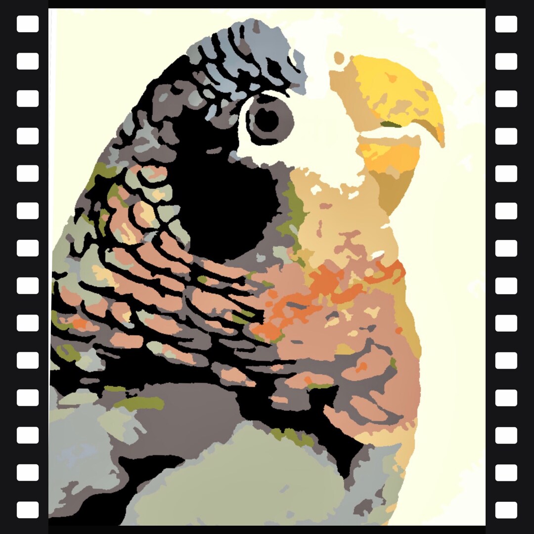 Parrot Paint by Numbers Printable: DIY Embroidery Hoop Art (digital ...