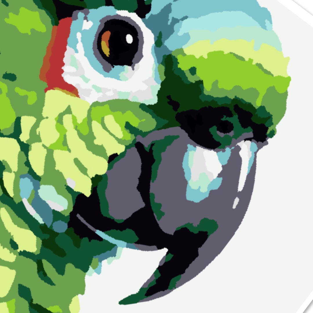 Green Parrot Paint by Numbers, Parrot Diy Art, Green Parrot Artwork ...