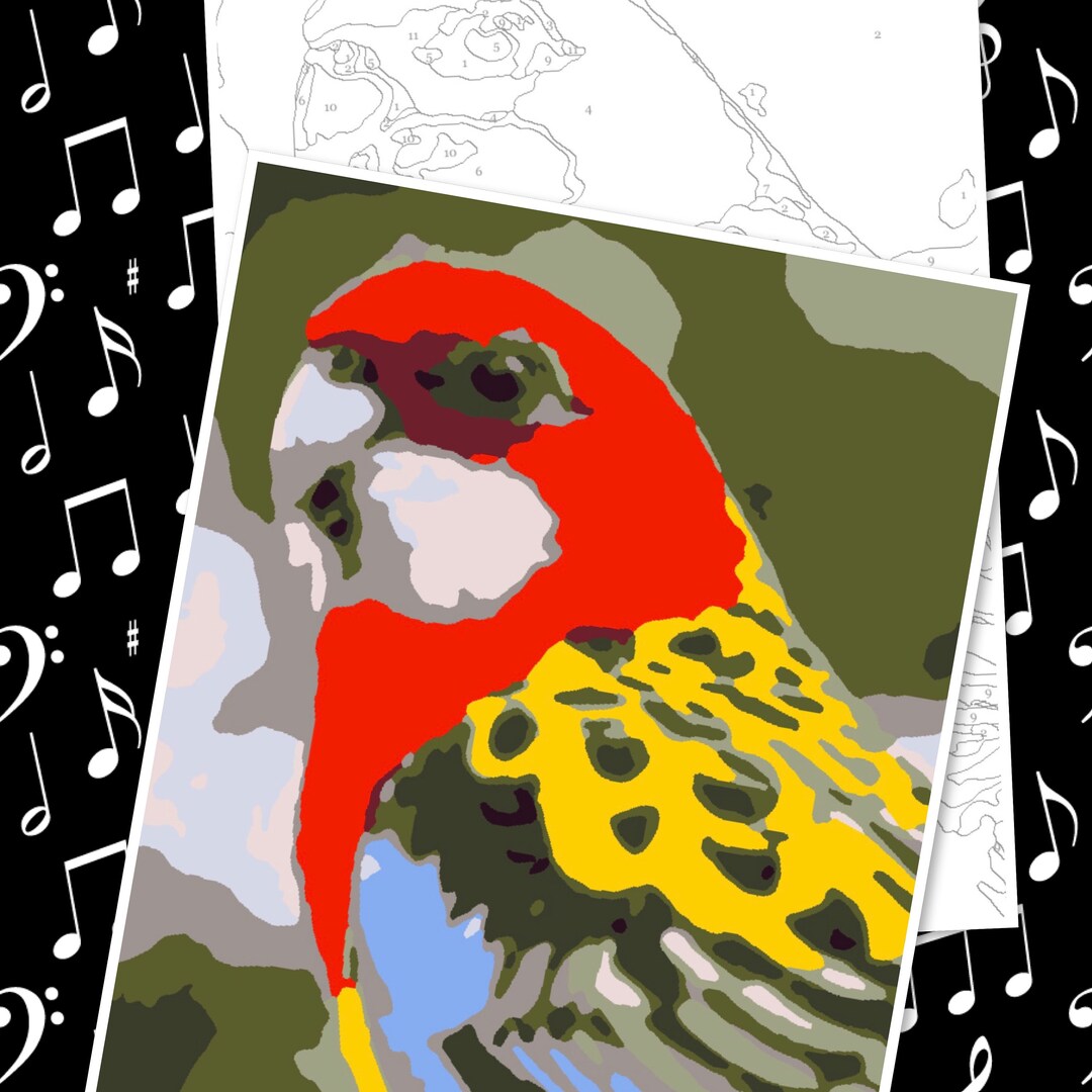 DIY KIT Instant Downloads Painting by Numbers Australian - Etsy