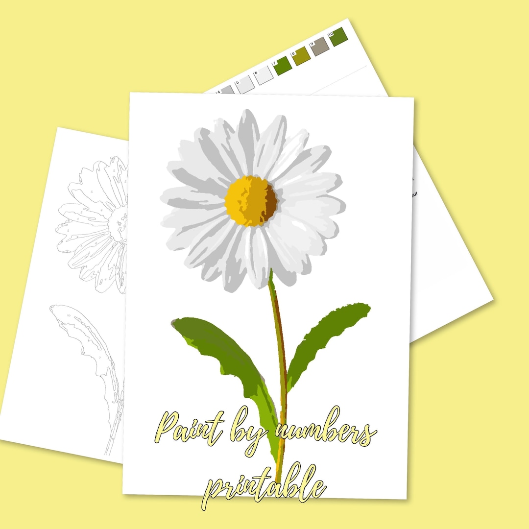 White Daisy Paint by Numbers Printable Instant Downloads - Etsy