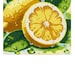 Lemons Painting by Numbers Printable: DIY Fruit Collage (PDF) - Etsy