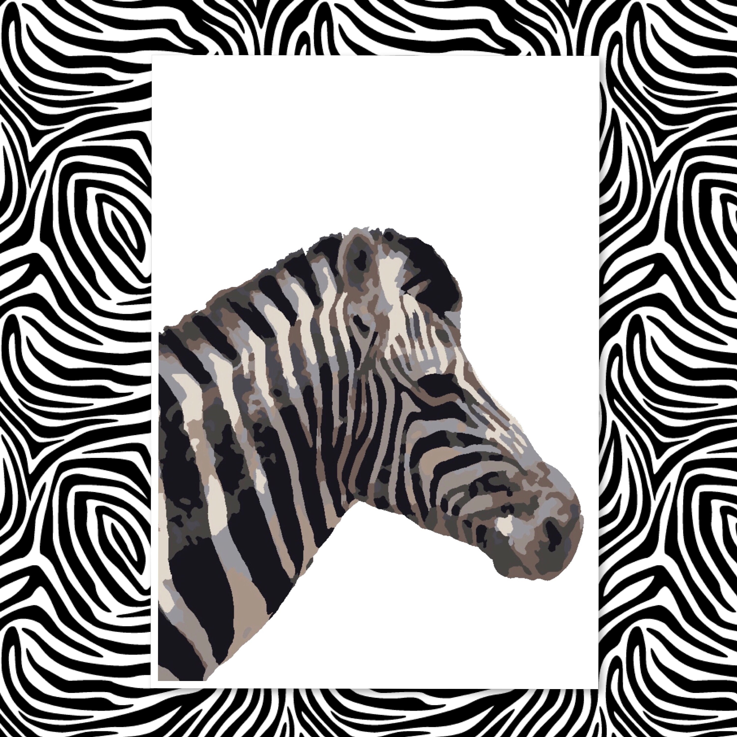 Zebra Paint by Numbers, Diy Artwork, Numbered Painting, Black and White ...