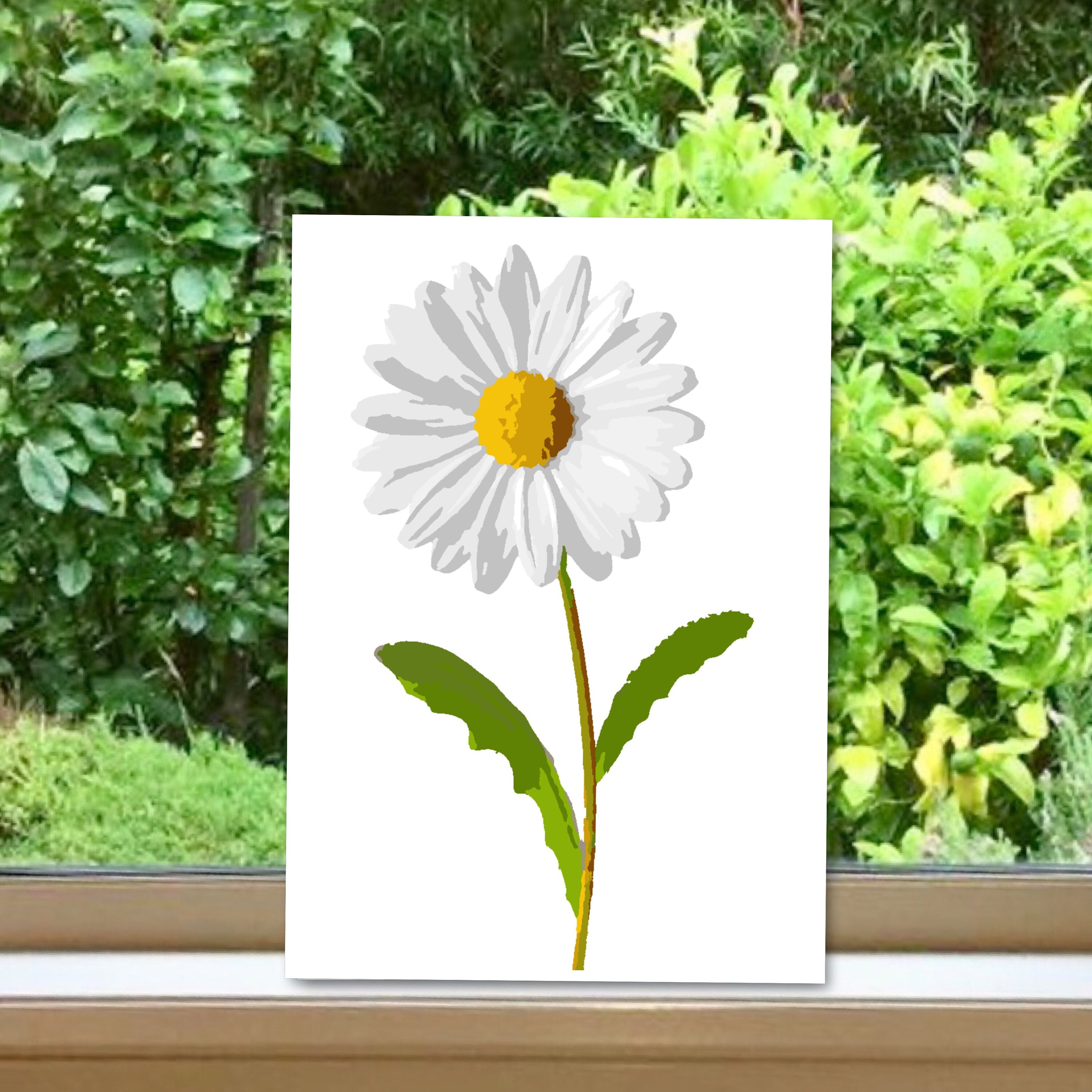 White Daisy Paint by Numbers, Printable, Instant Downloads, Relaxing ...