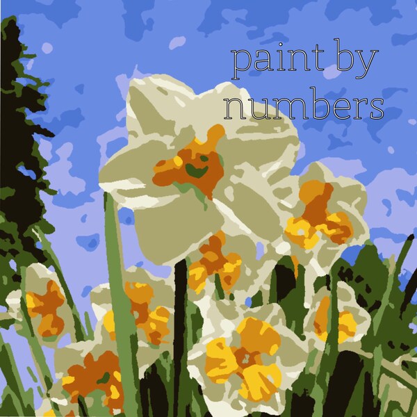 Paint by Numbers - Etsy