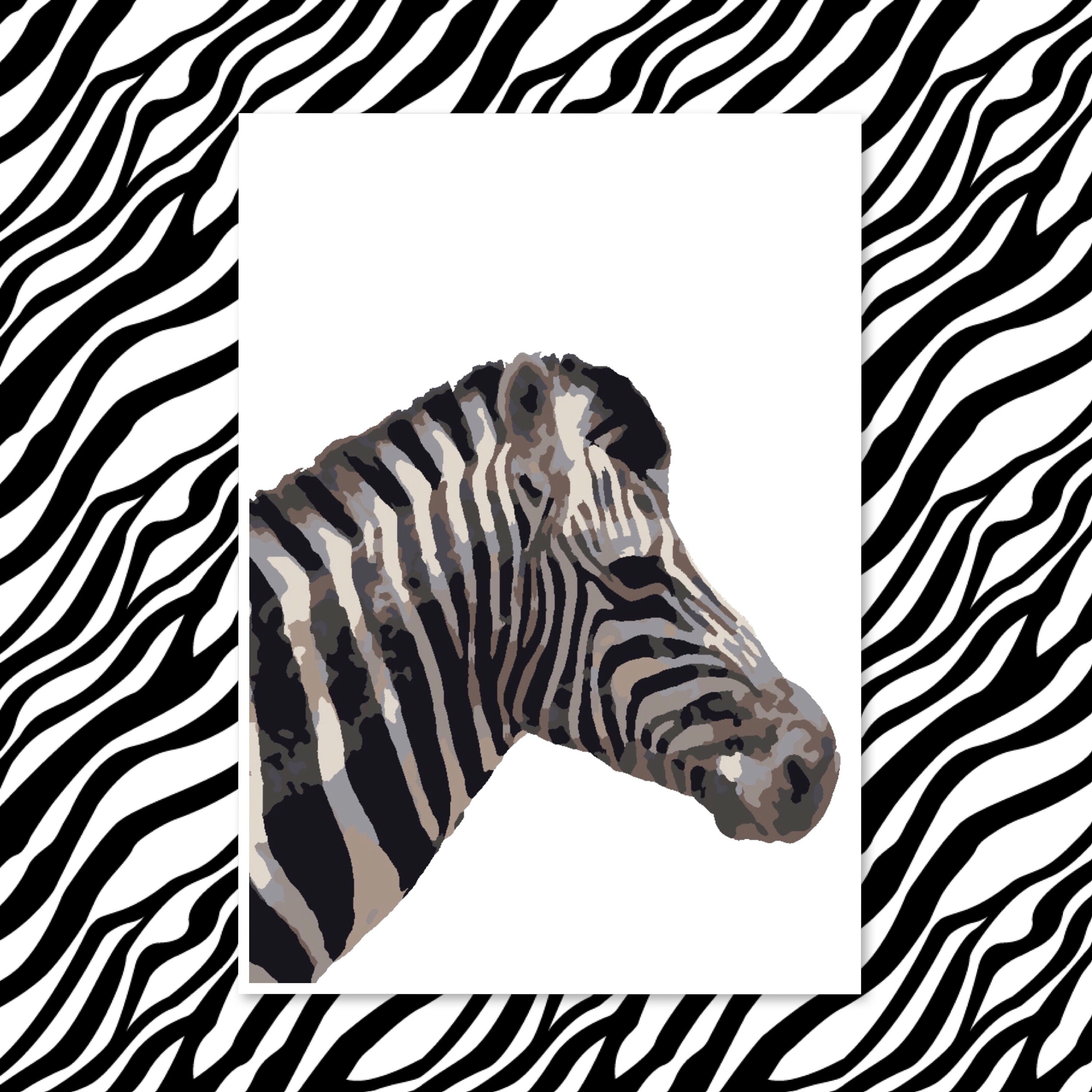 Zebra Paint by Numbers, Diy Artwork, Numbered Painting, Black and White ...