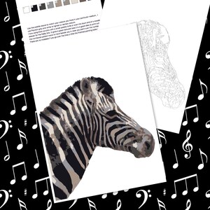 Zebra Paint by Numbers, Diy Artwork, Numbered Painting, Black and White ...