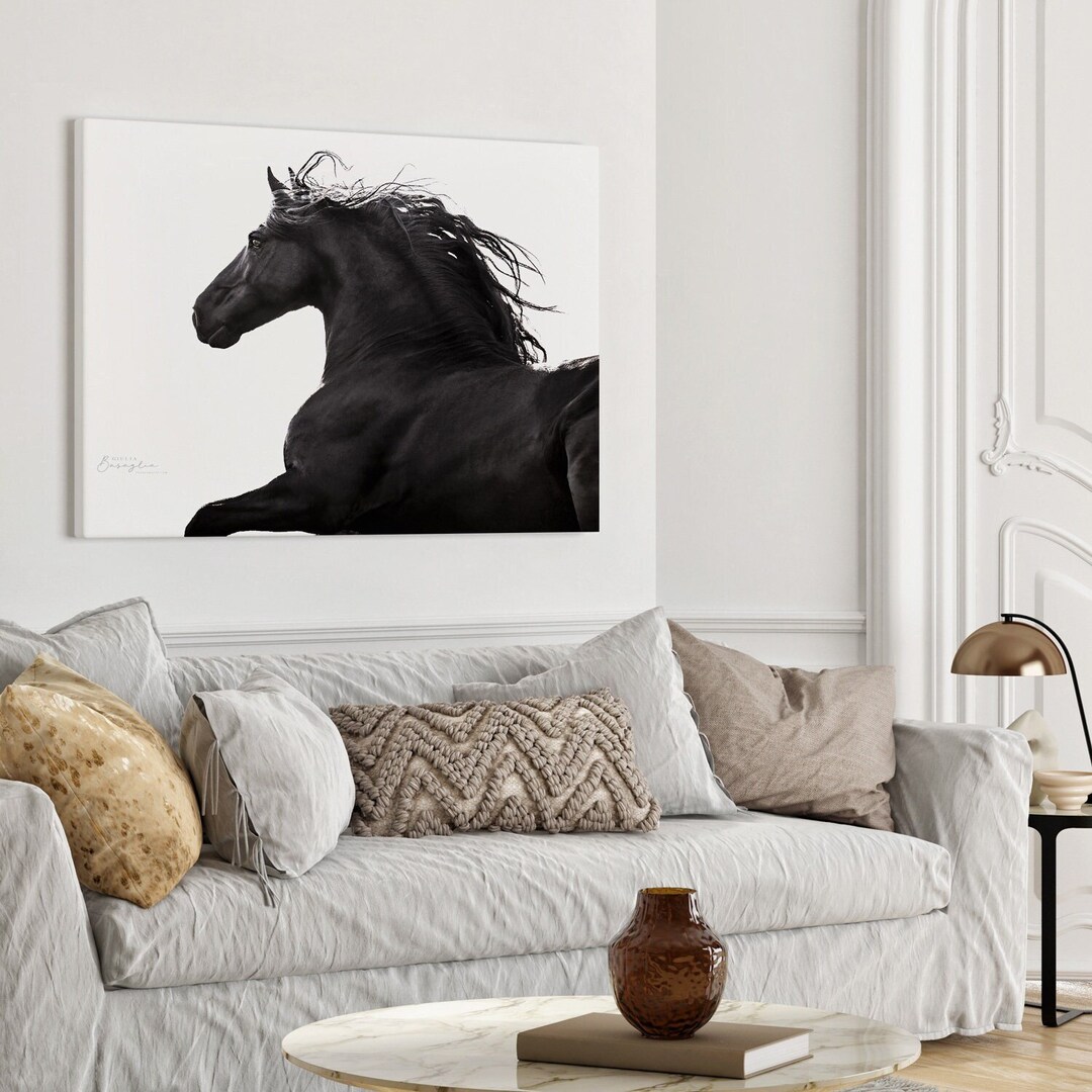 Photographic Poster Friesian Stallion Horse in Freedom, Professional ...