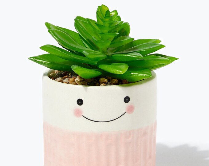 Whyshare Succulent in Smiley Face Planter 14.5cm X 10cm X 10cm - Etsy