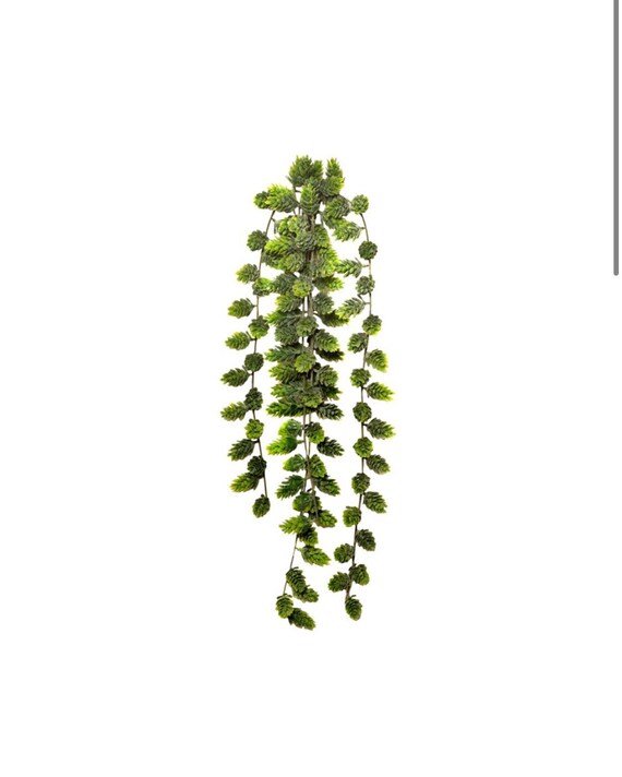 Trailing Artificial Hop Vine Bush 60cm/24 Inches | Etsy