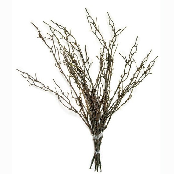 Twig Bundle Brown 5 Stems 65cm - Etsy