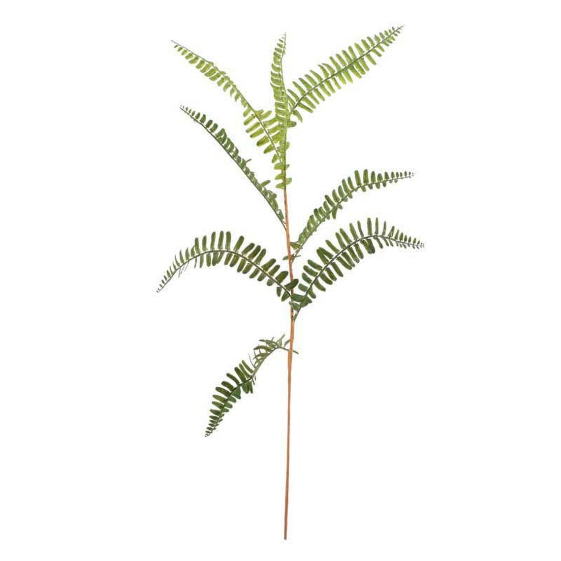 Artificial Fern Spray 75cm Pack of 3 Stems - Etsy