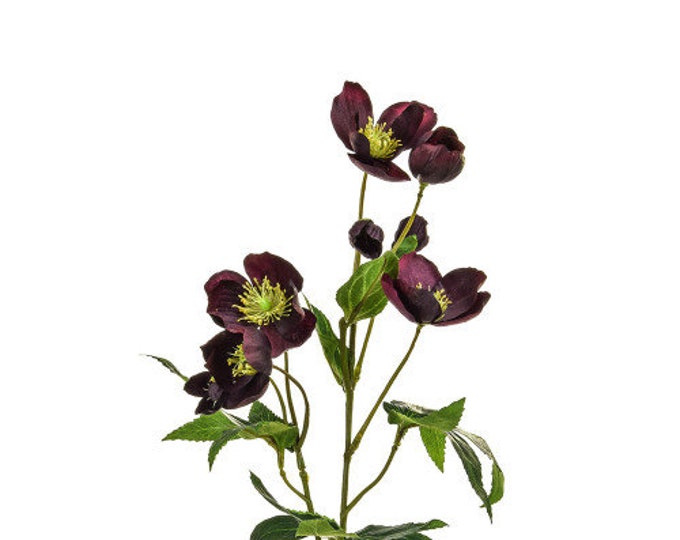 Faux Silk Helleborus Flower Stem 55cm Tall Burgundy - Etsy