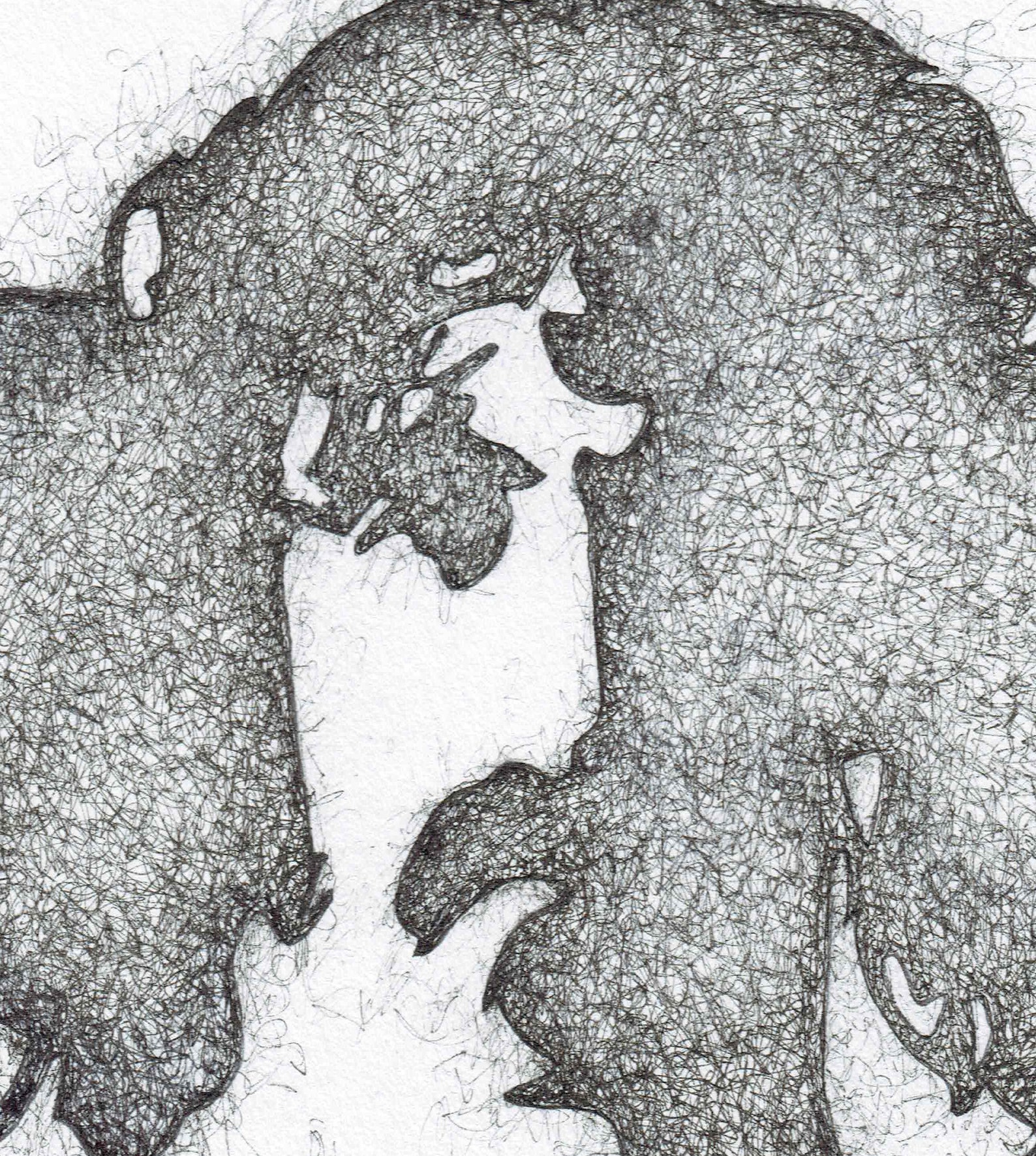 Frank Zappa A4 Stencil Illustrationhand-drawn Zappa - Etsy