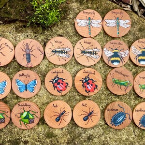 Matching Insects Montessori Game, 10 Hand Painted Pairs, Forest School ...