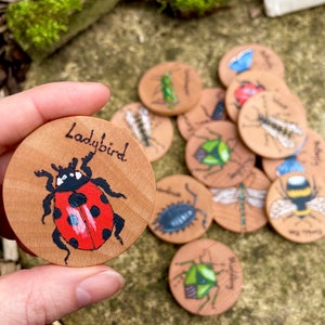 Matching Insects Montessori Game, 10 Hand Painted Pairs, Forest School ...