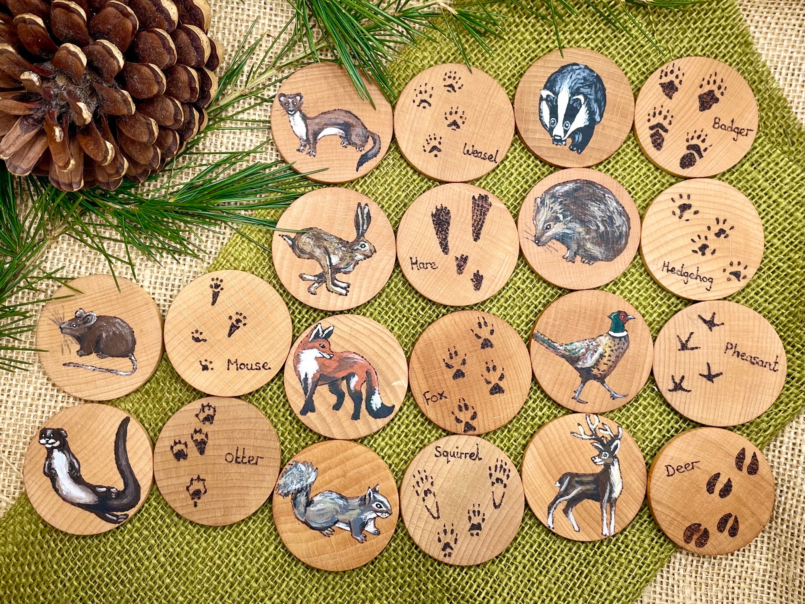 Woodland Animal Tracks Matching Game, Montessori Inspired Wooden Flash ...