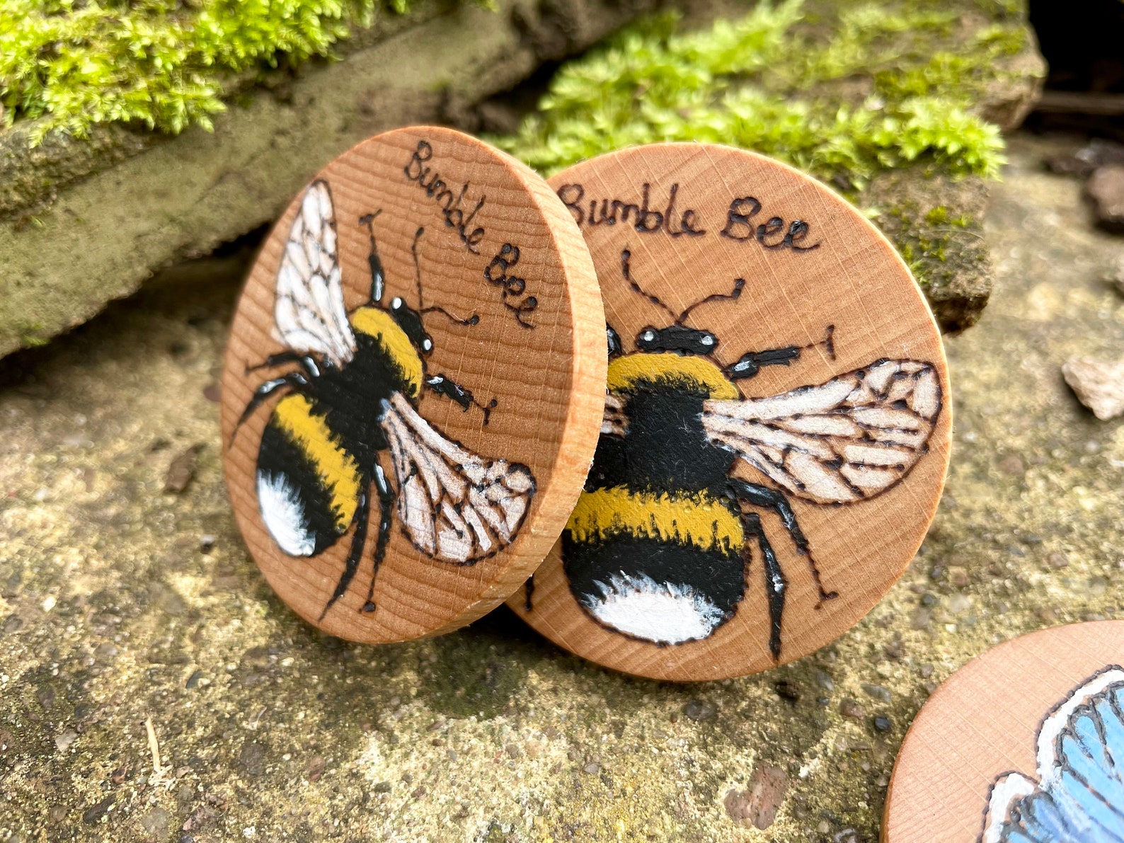 Matching Insects Montessori Game, 10 Hand Painted Pairs, Forest School ...